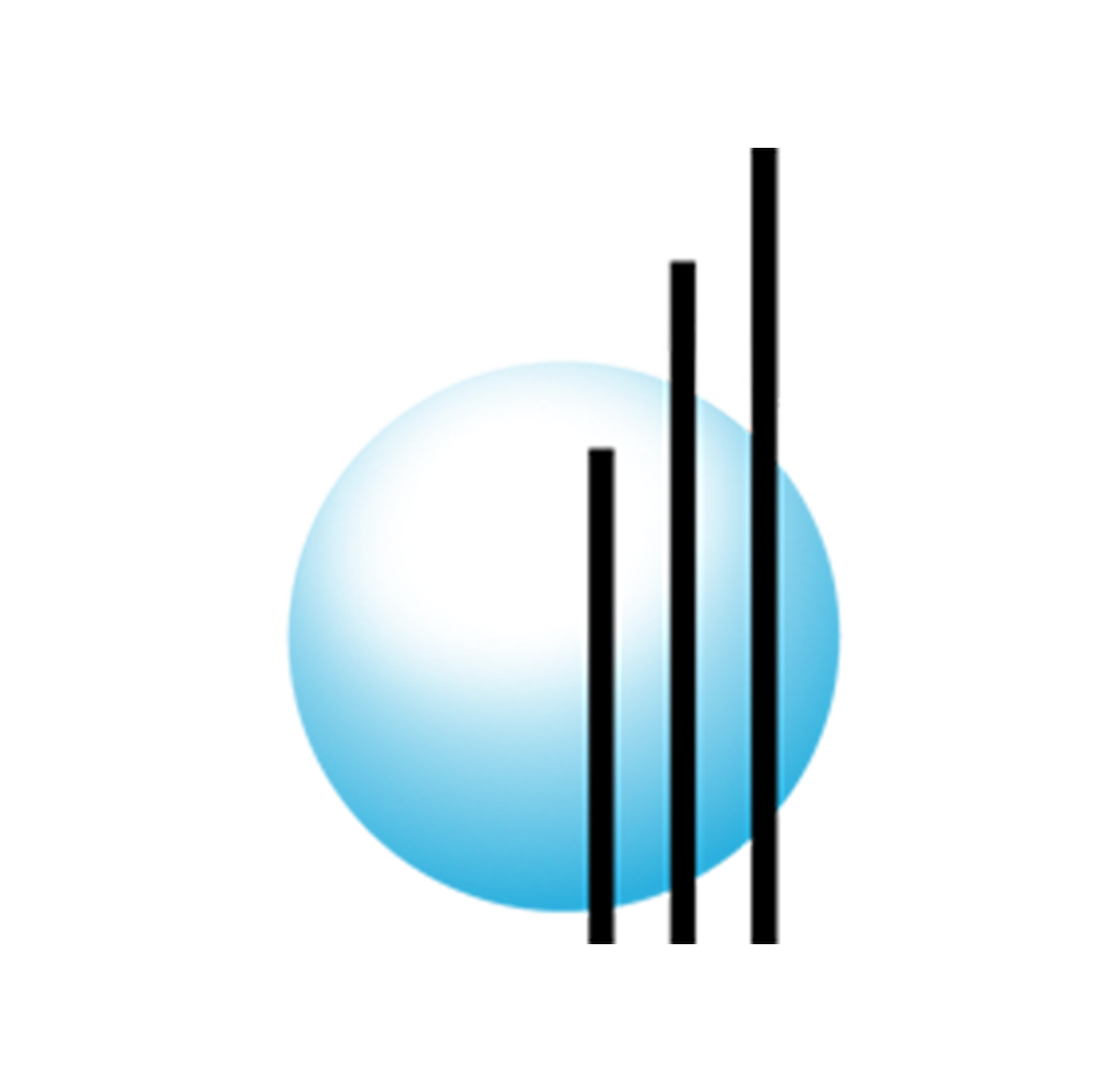 Robert M. Strongwater and Co. Inc. – Our Experience is Your Advantage